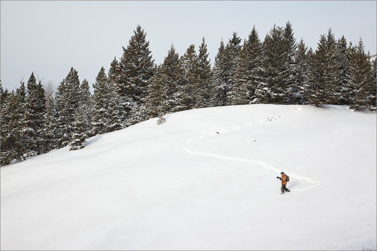Vic Bergman Photography | crowsnest pass community trails