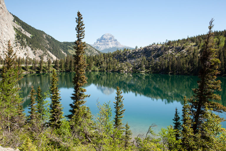 Vic Bergman Photography | Crowsnest Pass Photography