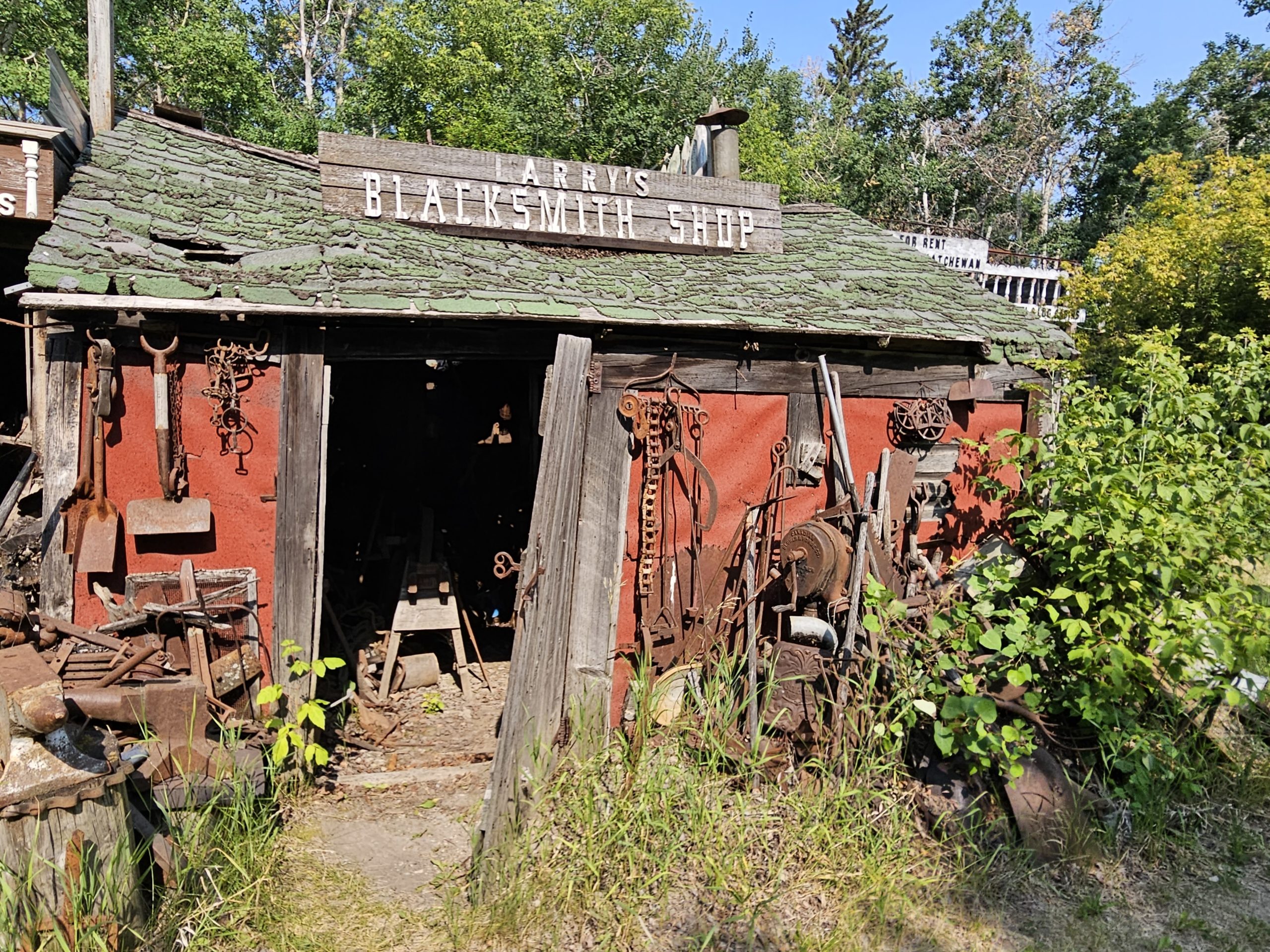 Chopping_20230713_094038